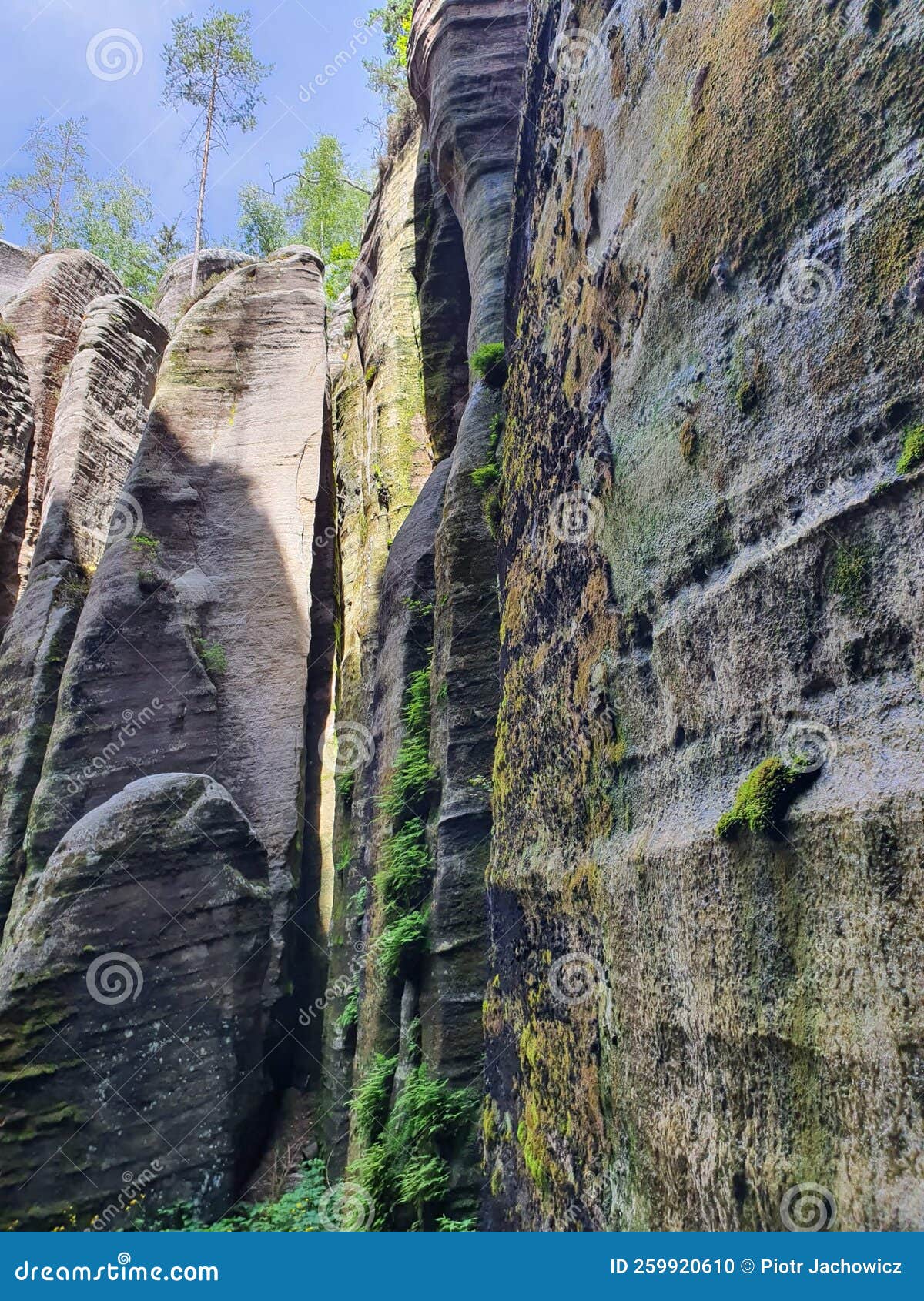 The Rock Towers in the the Largest Rock Labyrinth Stock Photo - Image ...