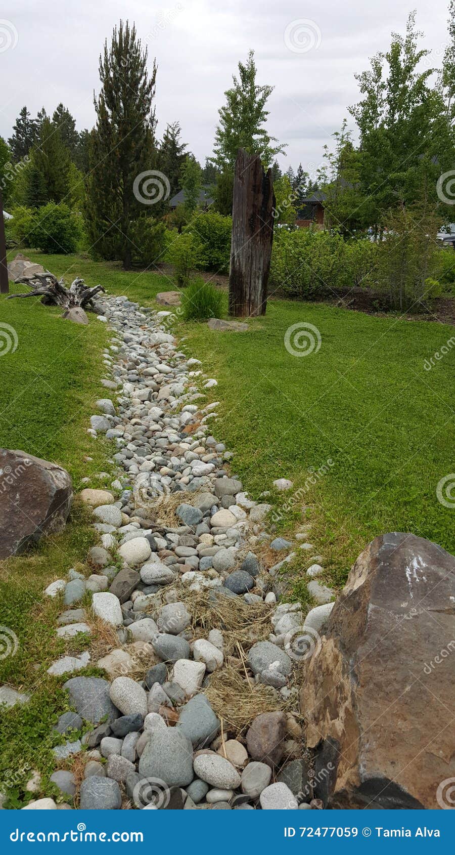 Rock trail to course stock image. Image of suncadia, rock - 72477059