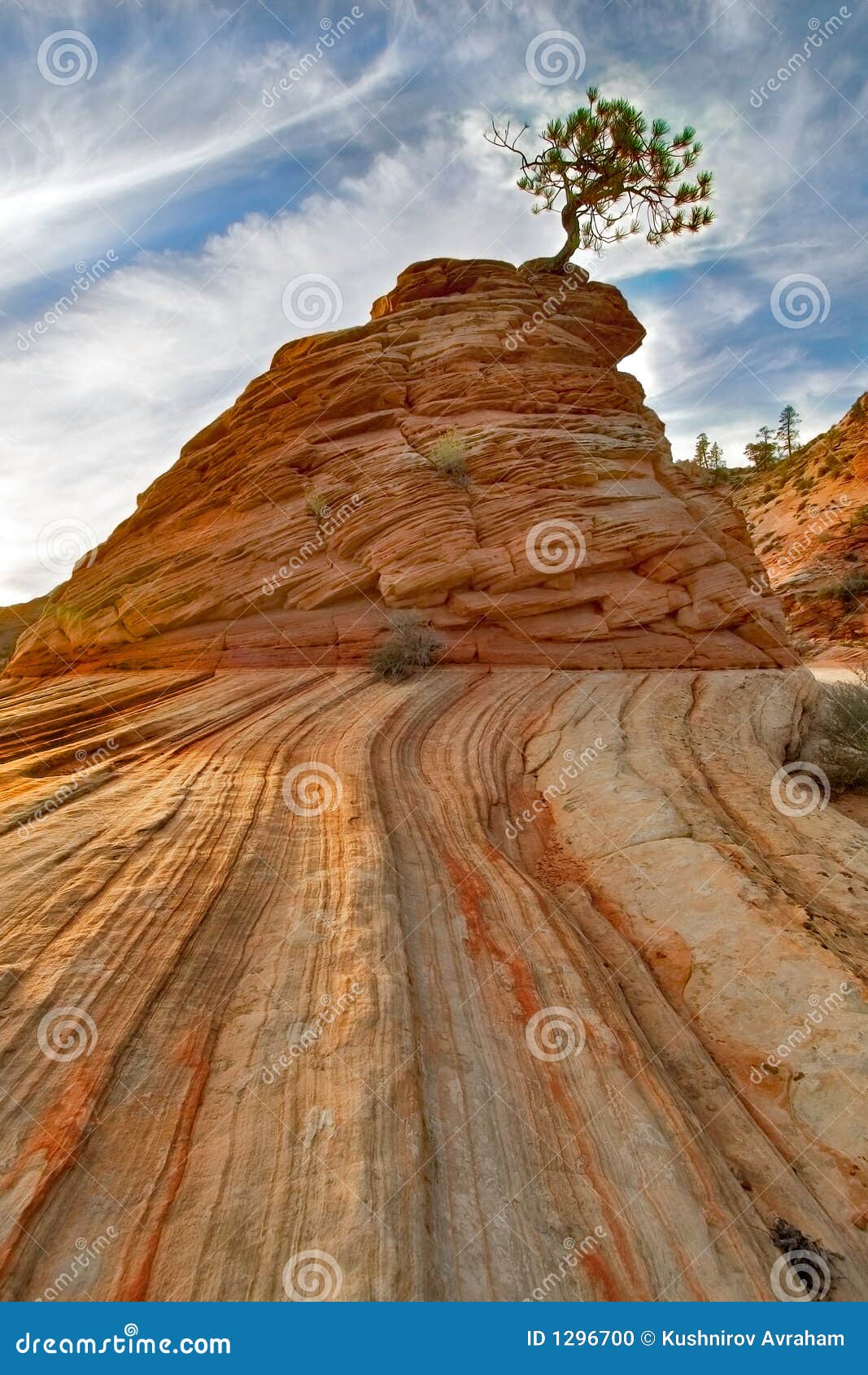 Rock and Tree stock photo. Image of isolation, form, glowing - 1296700