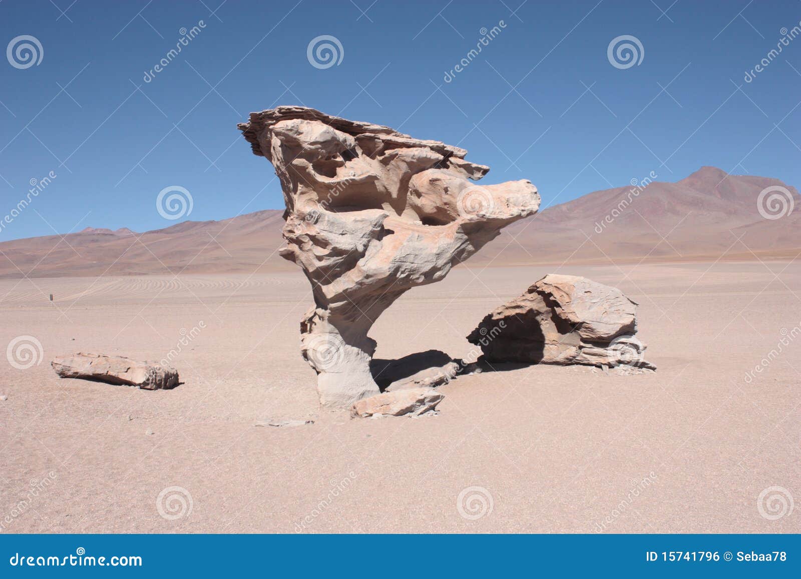 Rock Tree stock photo. Image of panoramic, south, formation - 15741796