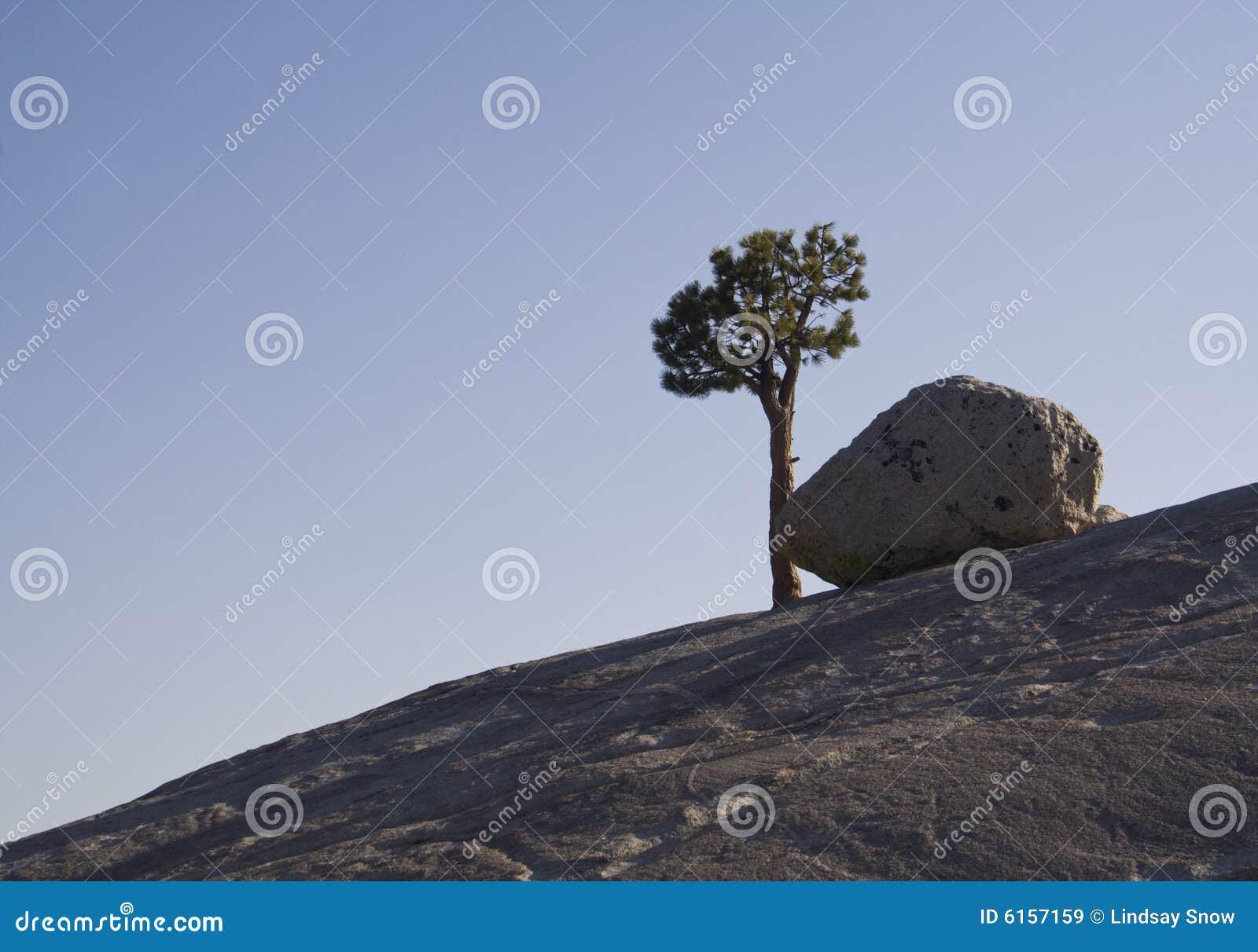 Rock and tree stock image. Image of national, clear, green - 6157159