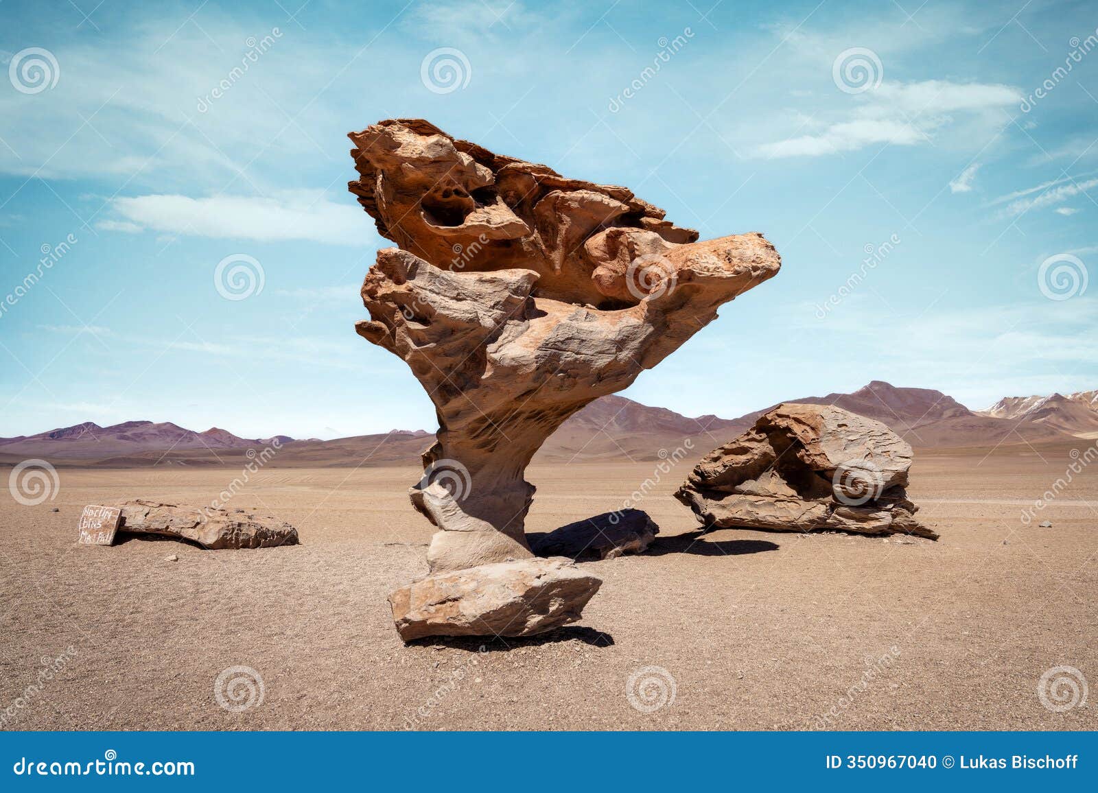 Rock Tree Arbol De Piedra in Bolivia Stock Photo - Image of nature ...