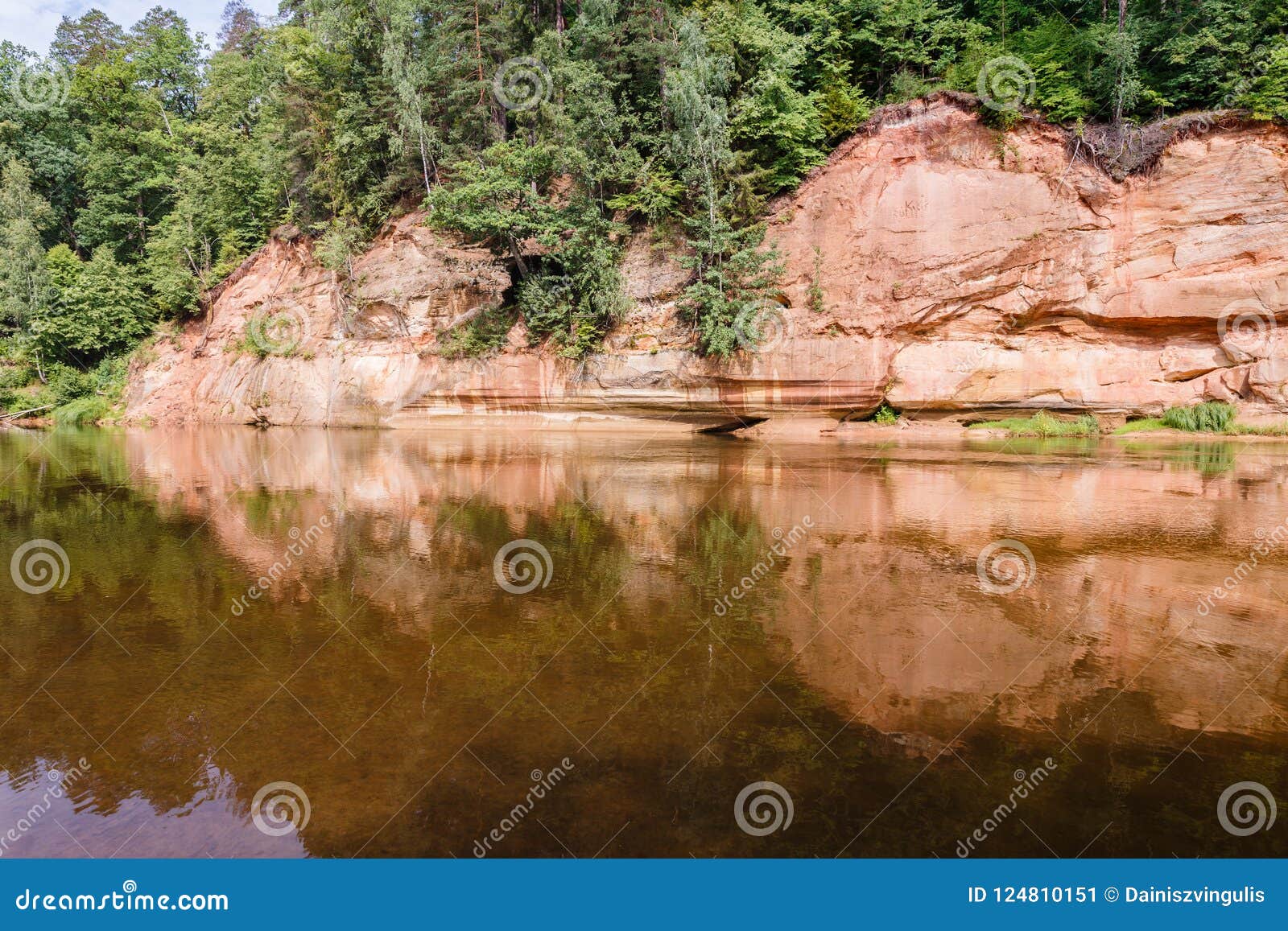 Rock and Tree Reflection in the Water Stock Image - Image of cliff ...