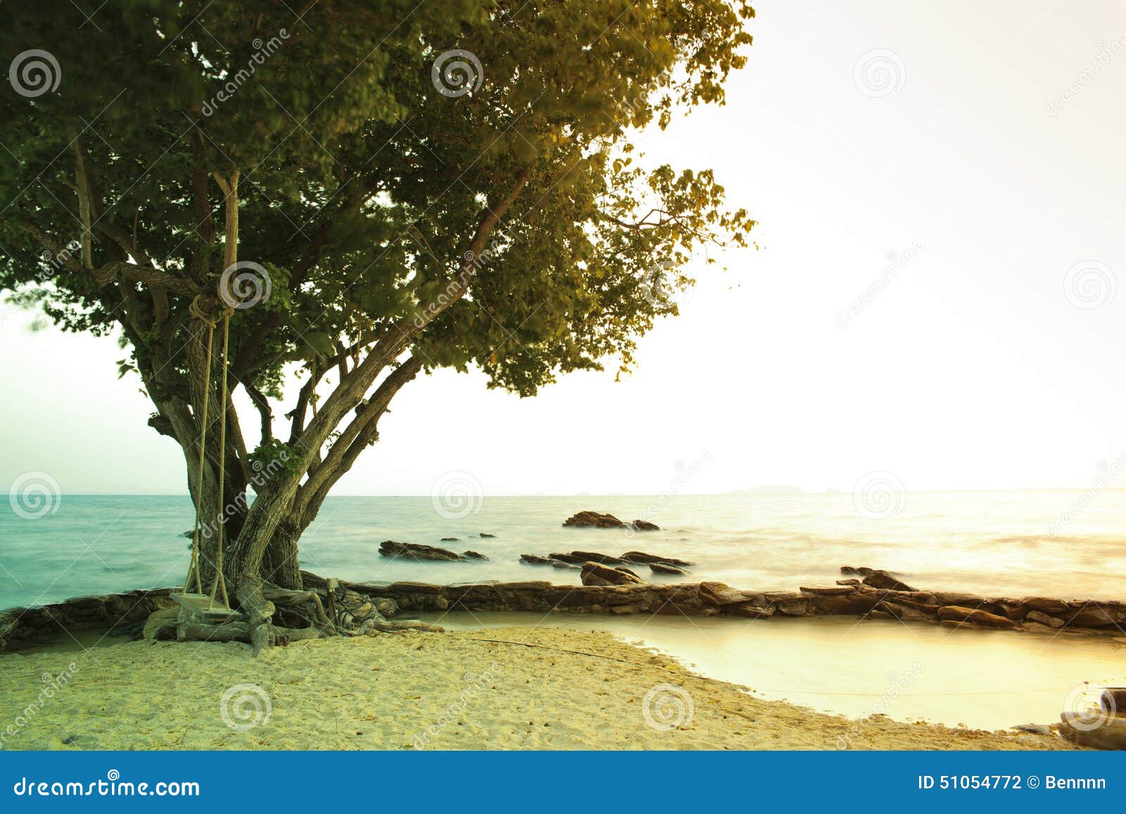 Rock,tree in the Sea and Beach Stock Photo - Image of horizon, shore ...