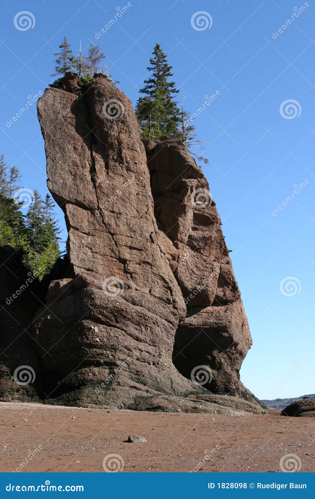 Rock with tree on top stock photo. Image of coast, landscape - 1828098