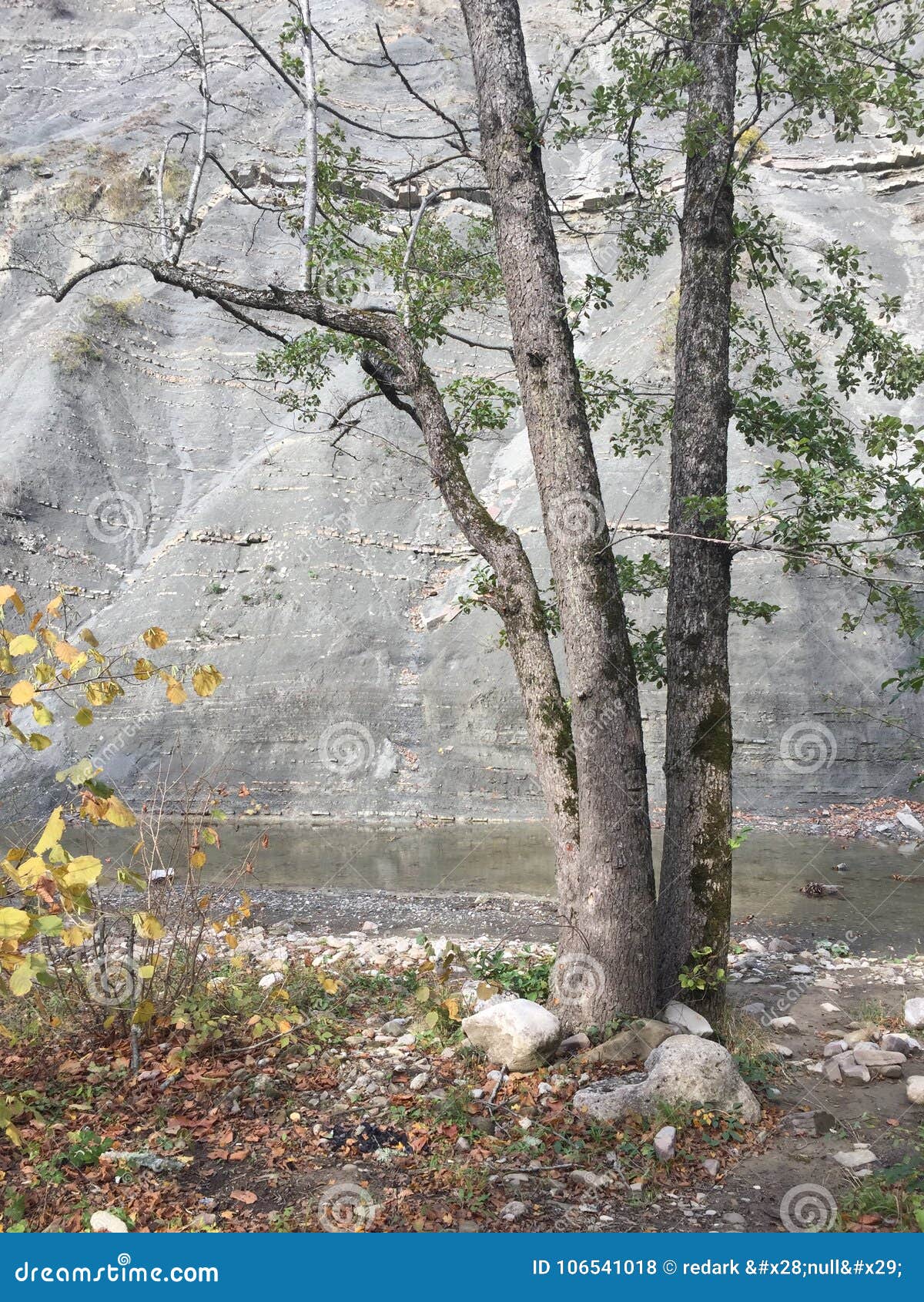 Rock tree stock photo. Image of landscape, autimn, nature - 106541018