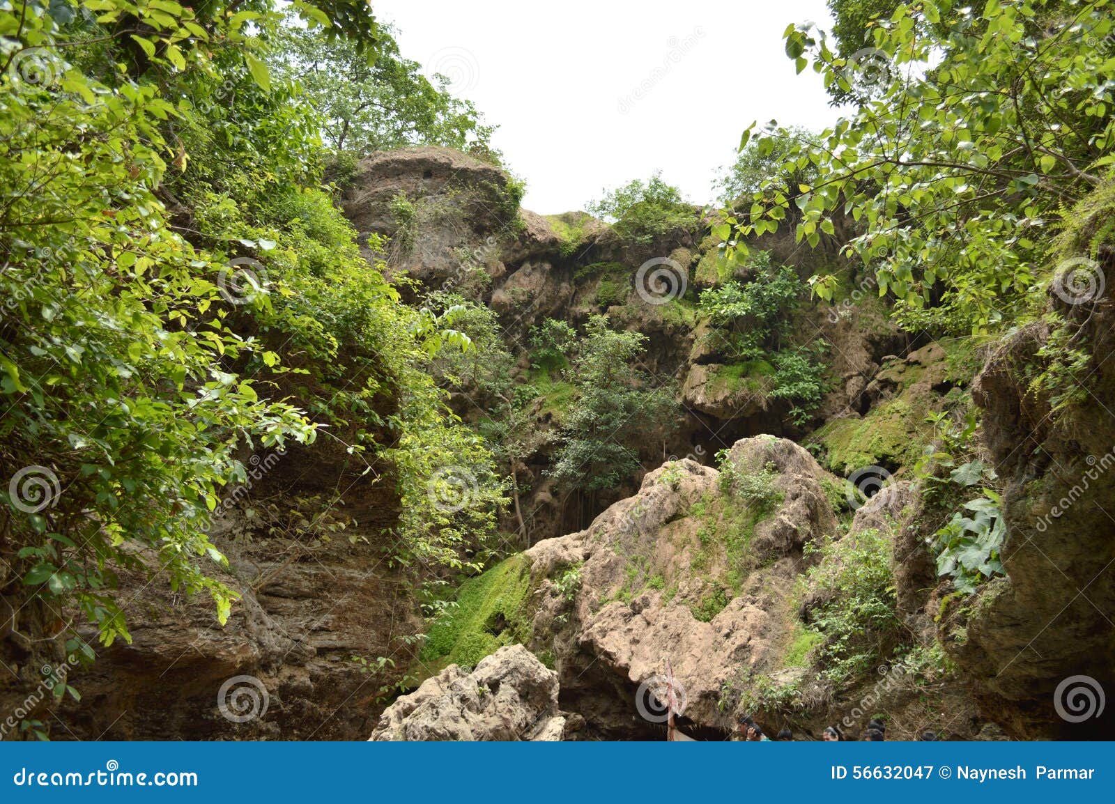 Rock with trees stock image. Image of mountain, plants - 56632047