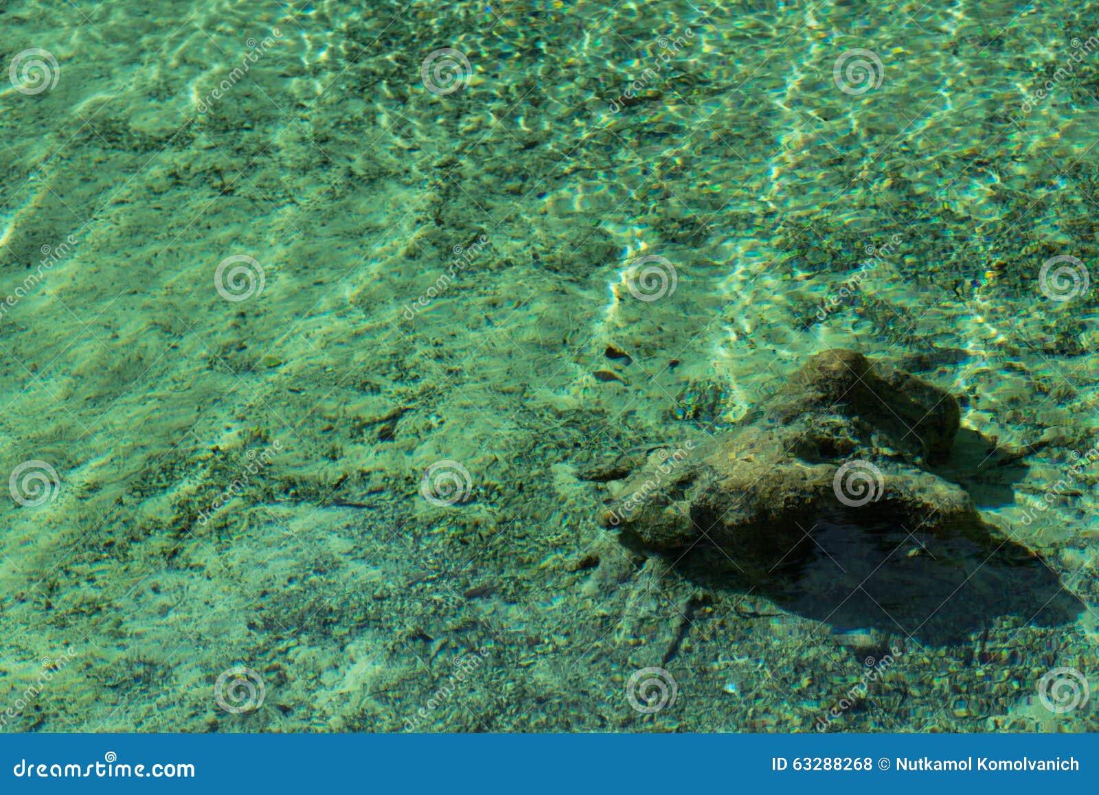 Rock Under Clear Water in Swamp Stock Photo - Image of river, scenic ...