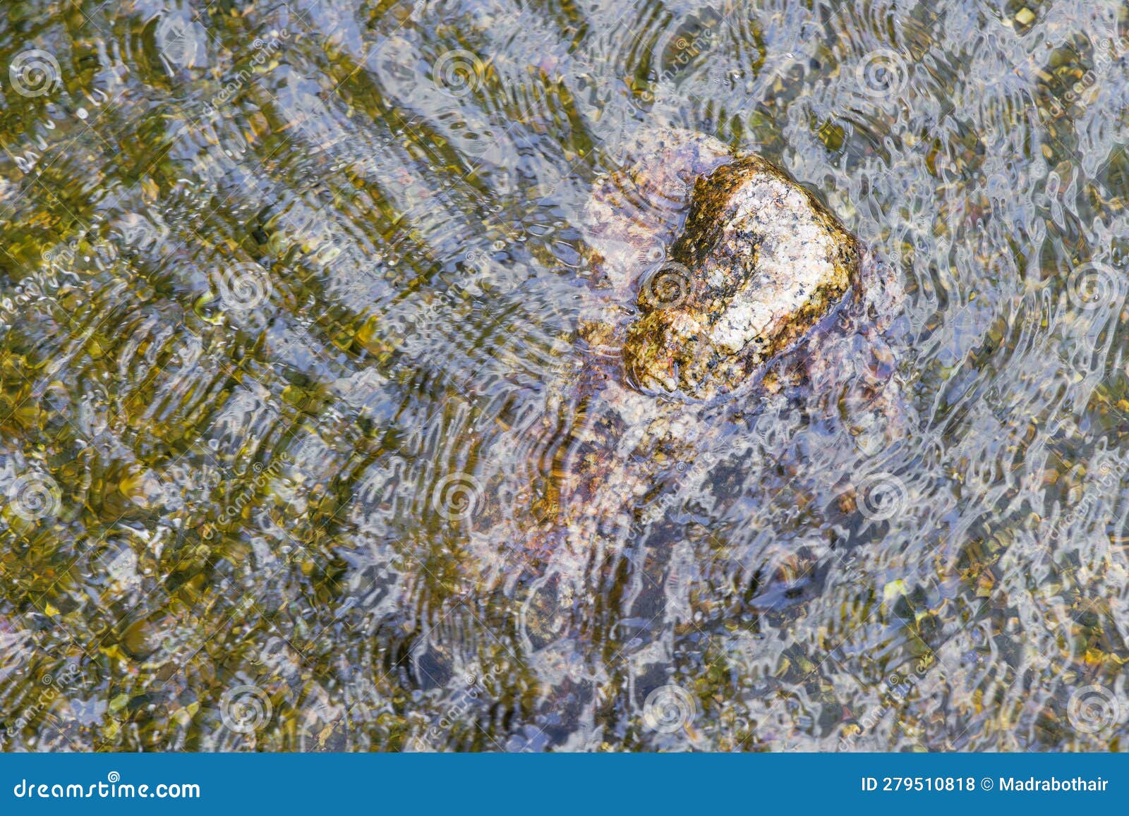 Rock Under the Water Surface of a Pond Stock Photo - Image of stones ...