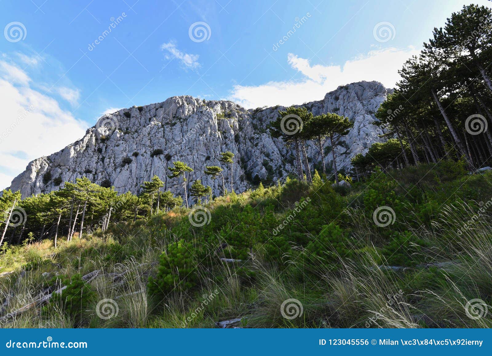 Rock wall stock photo. Image of scenic, tree, valley - 123045556