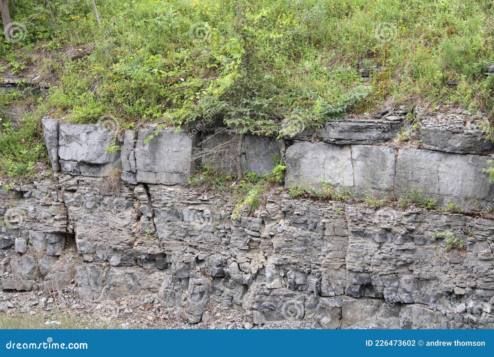 A Rock Wall Cliff Face with Vegetation Growing at the Top Stock Photo ...