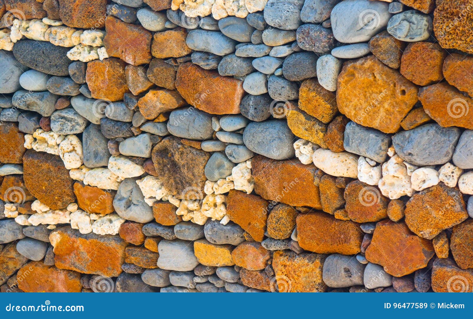 Rock Wall Coral Stone stock image. Image of cracked, ageing - 96477589