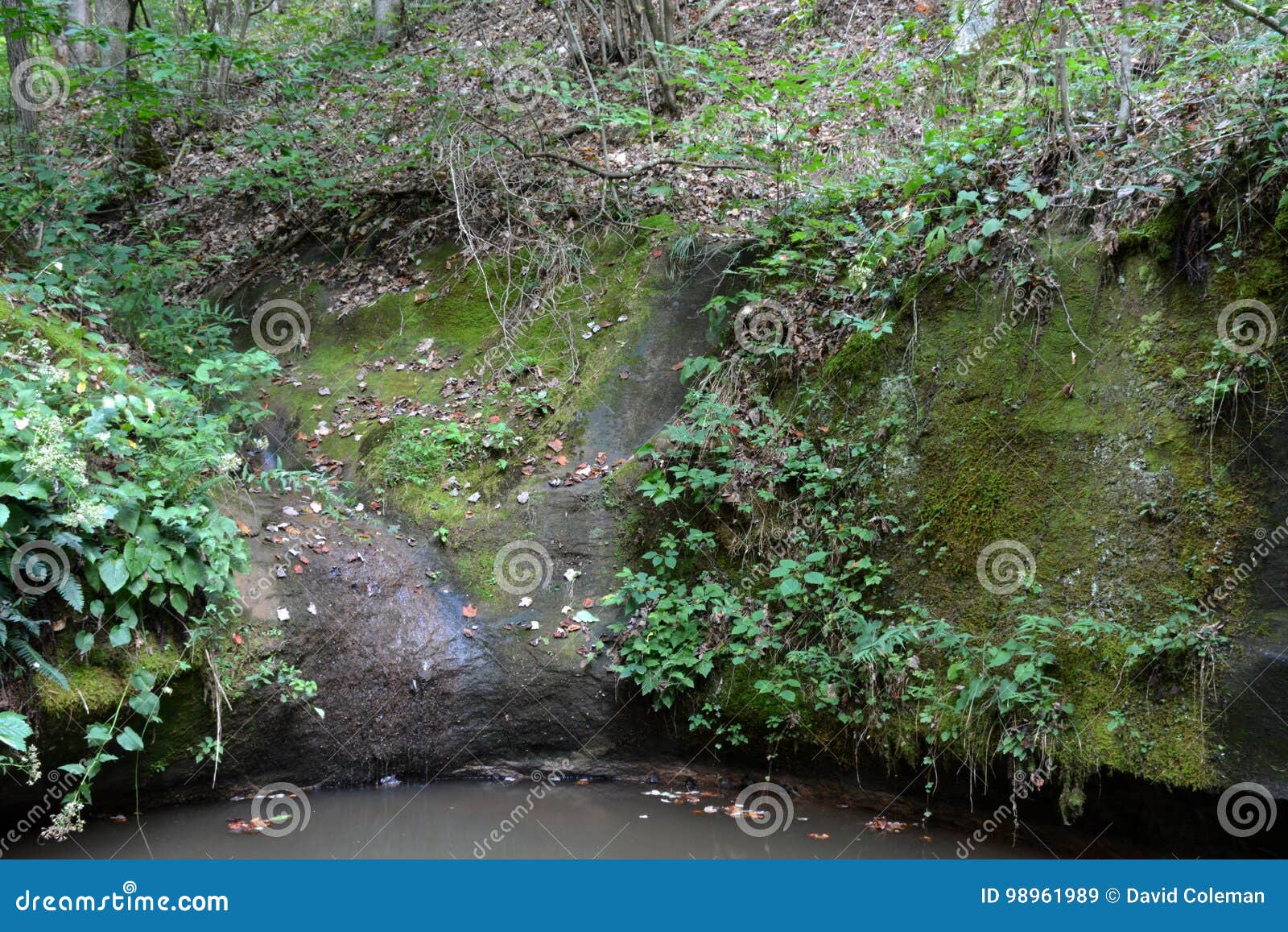 Rock wall stock image. Image of grass, geological, wood - 98961989