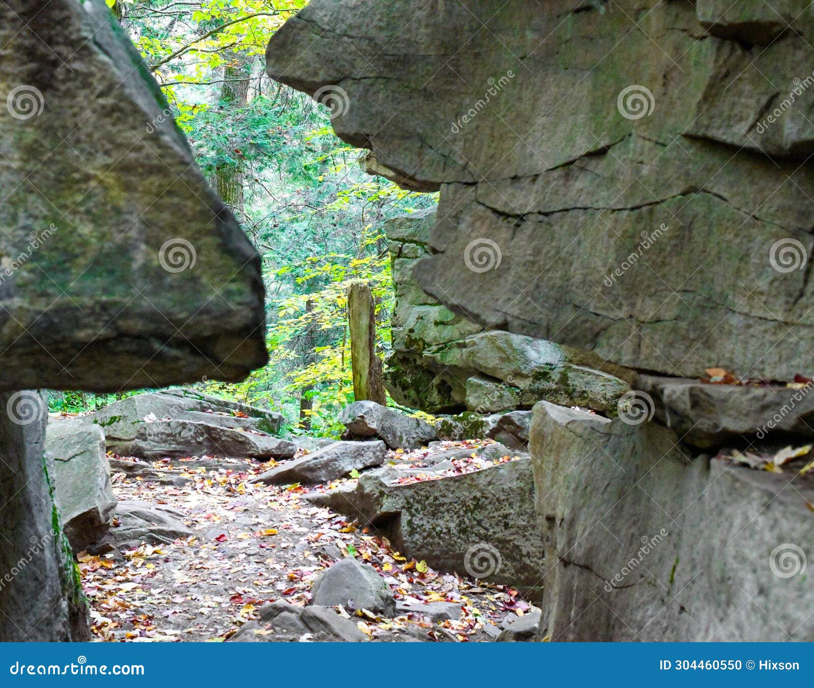 Rock wall on forest path stock photo. Image of green - 304460550