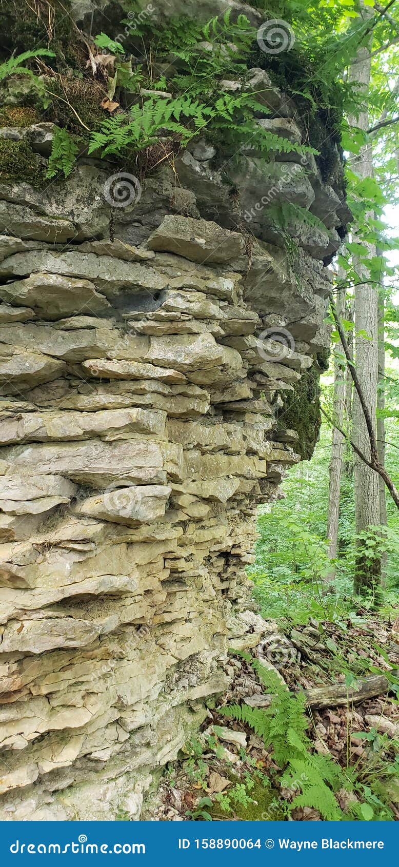 Rock Wall in the Forest Stands Tall Stock Photo - Image of tall, wall ...