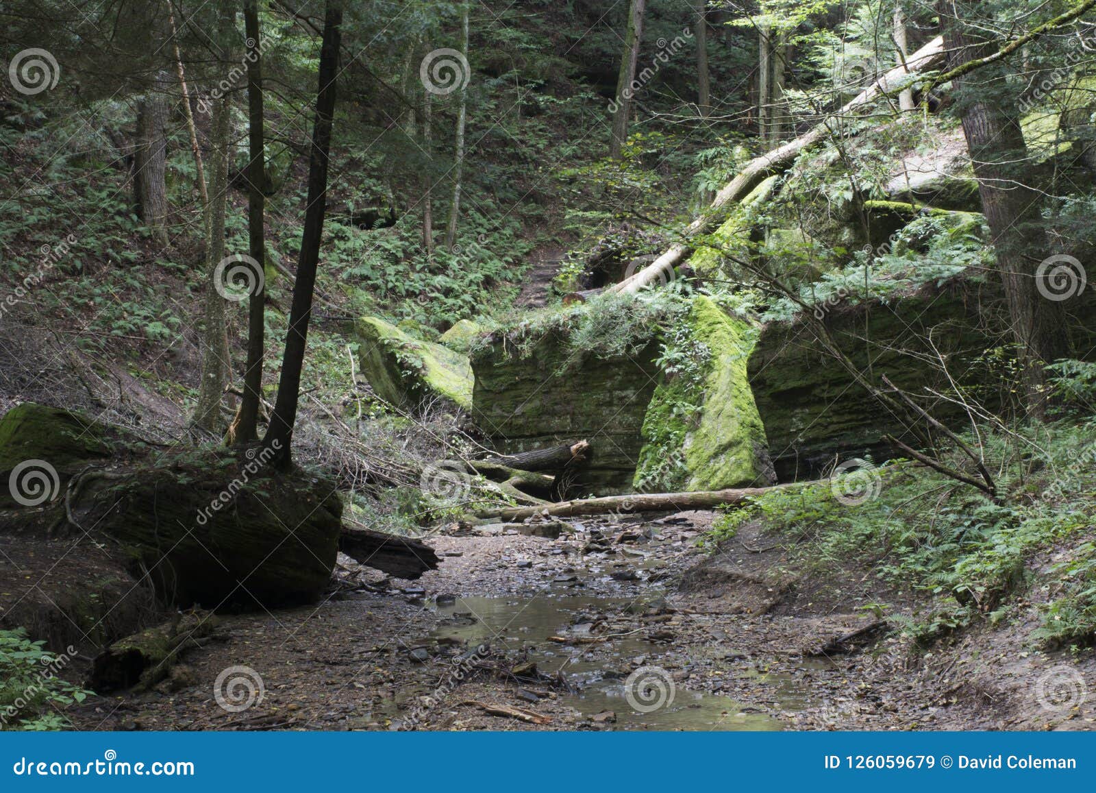 Rock Wall in Forest with Stream Stock Image - Image of area, mans ...