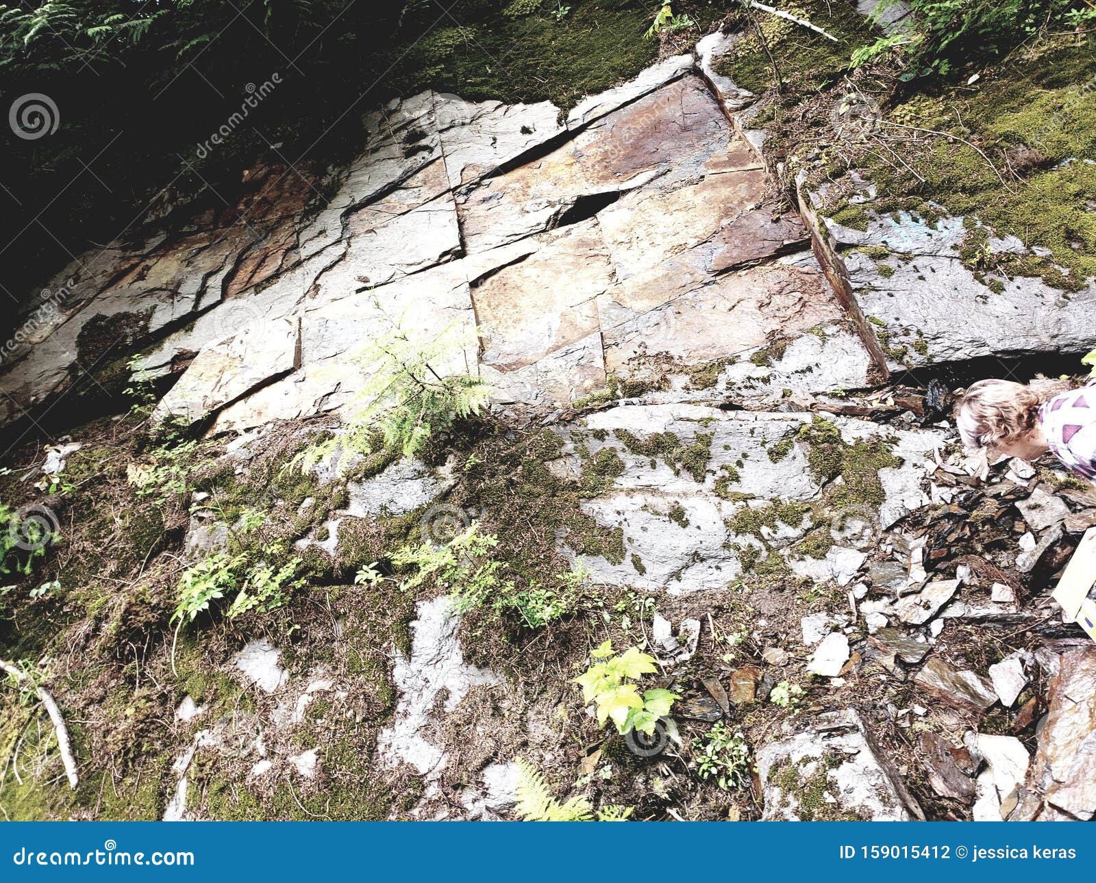 Rock wall in the mountain stock photo. Image of shale - 159015412