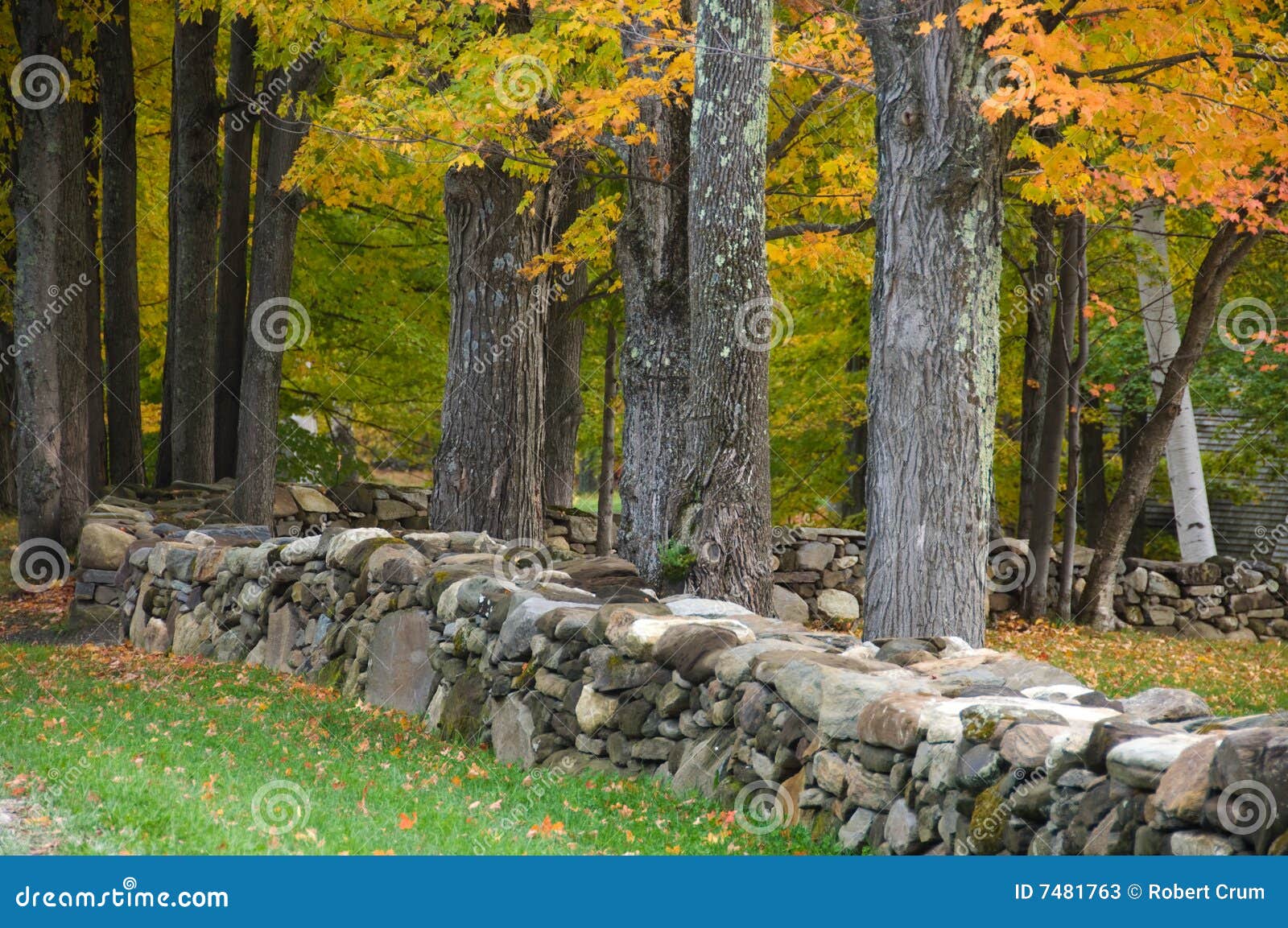 Rock wall, New England stock image. Image of forest, crops - 7481763