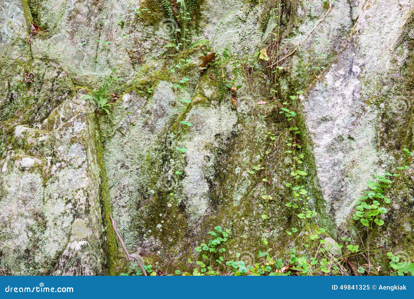 Rock wall stock image. Image of cliff, texture, landscape - 49841325