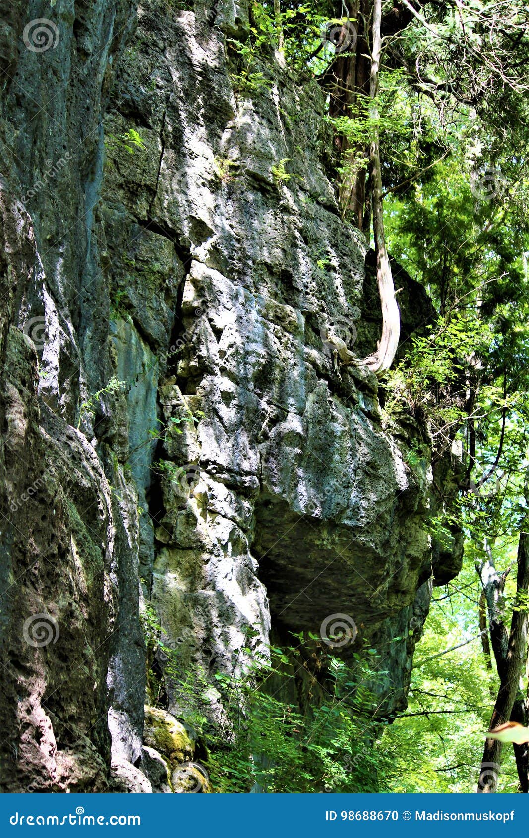 Rock Wall stock photo. Image of outdoor, boulder, nature - 98688670