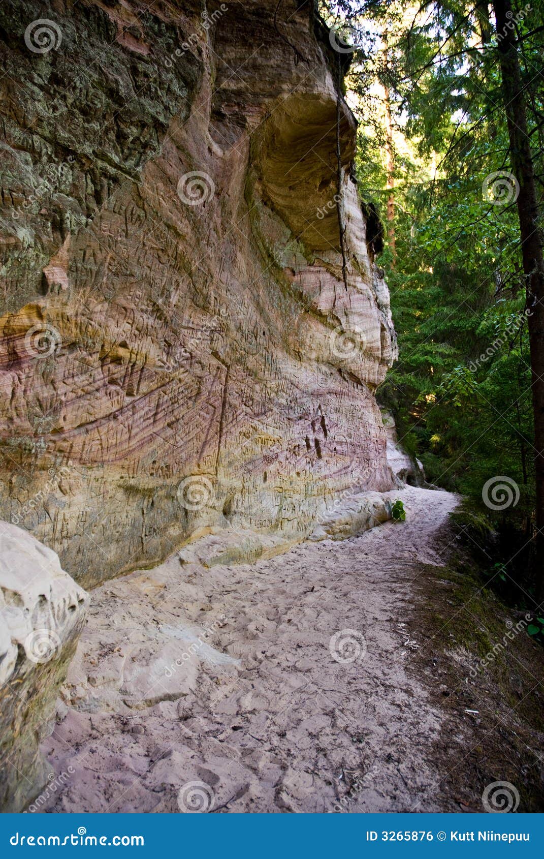 Rock wall in the woods stock photo. Image of nature, remote - 3265876