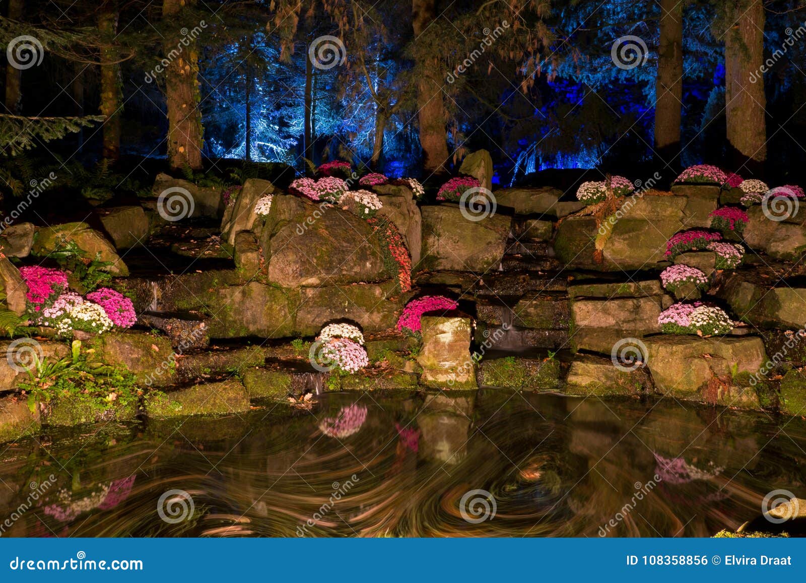 Pond by night stock photo. Image of water, enchanted - 108358856