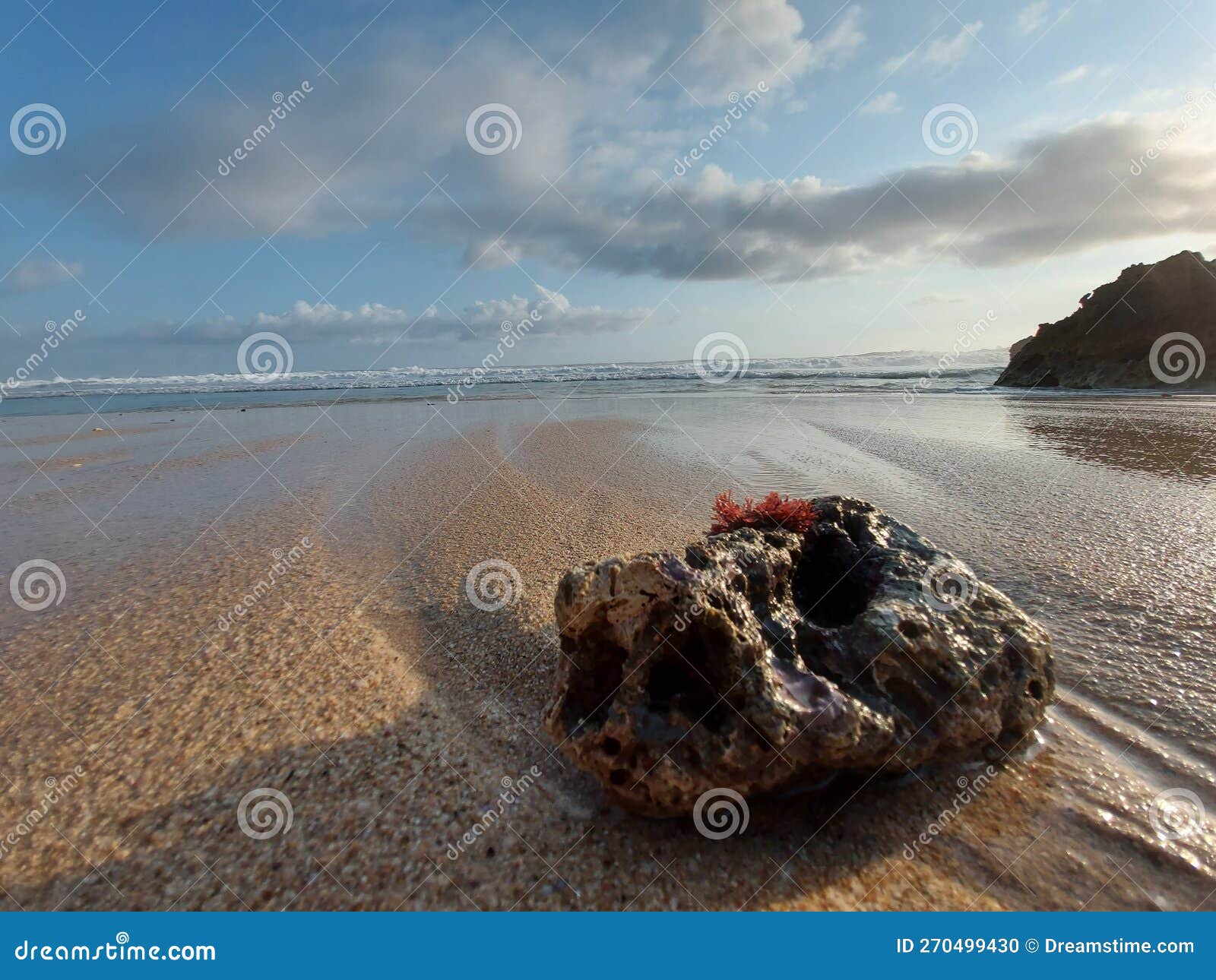 Rock Washed Up on the Beach Stock Photo - Image of ocean, washed: 270499430
