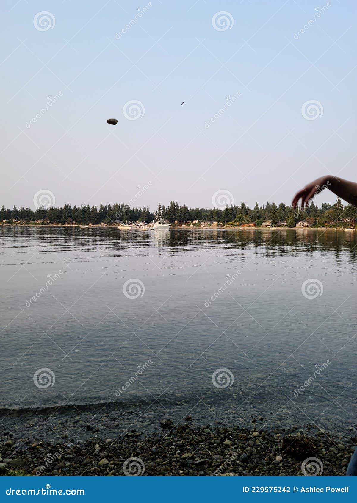 Rock into water stock photo. Image of sound, throw, water - 229575242