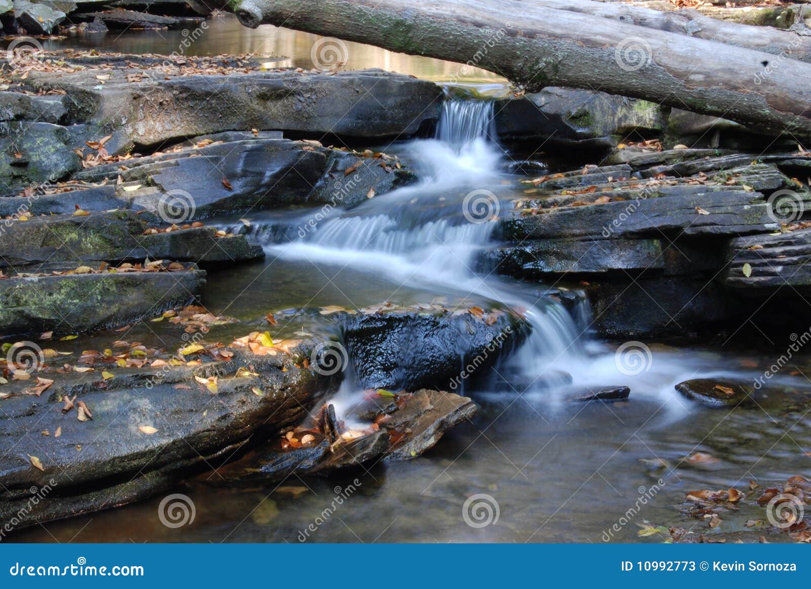 Rock Waterfall stock image. Image of gray, leaves, tree - 10992773