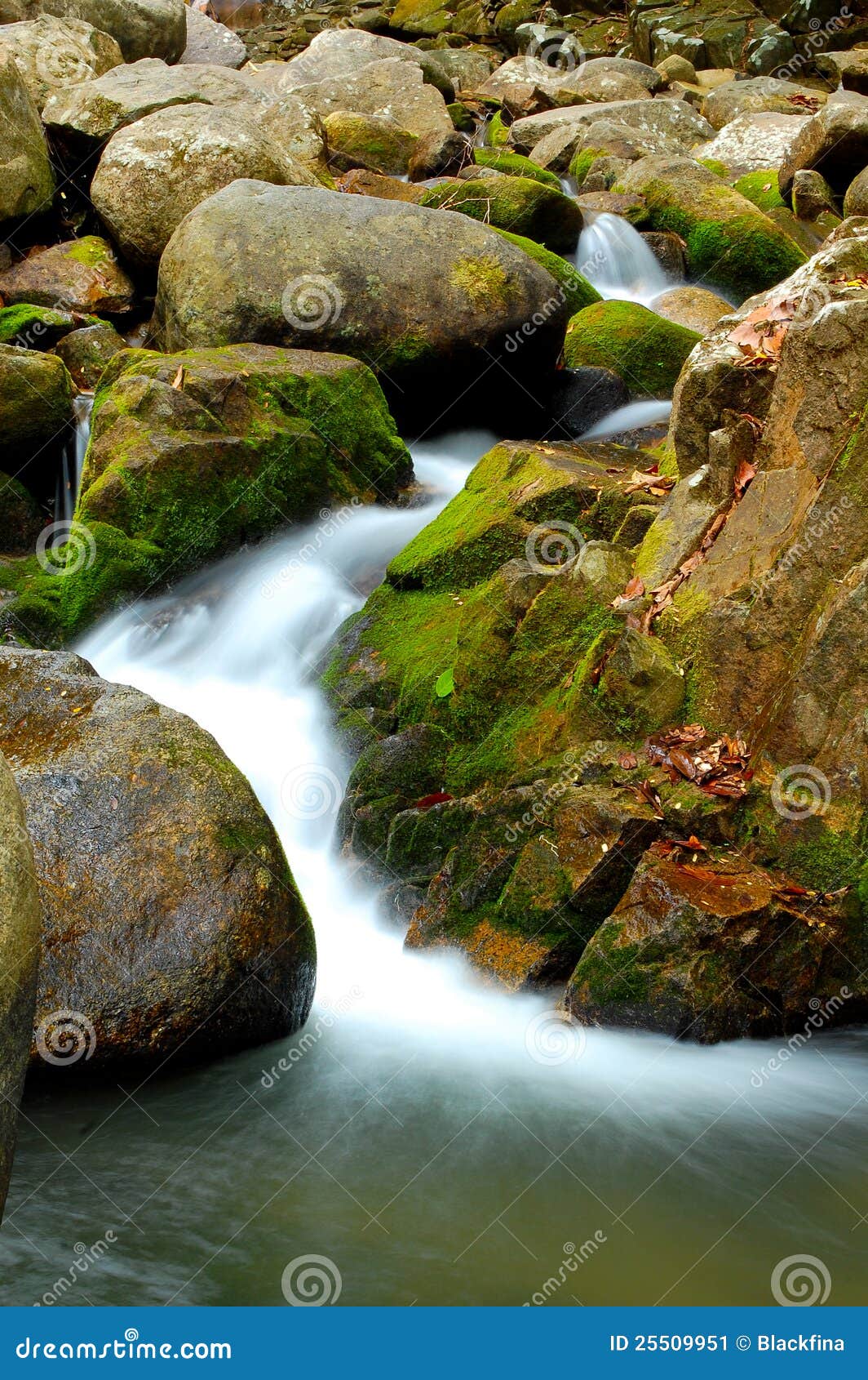 Rock waterfall with moss stock image. Image of green - 25509951