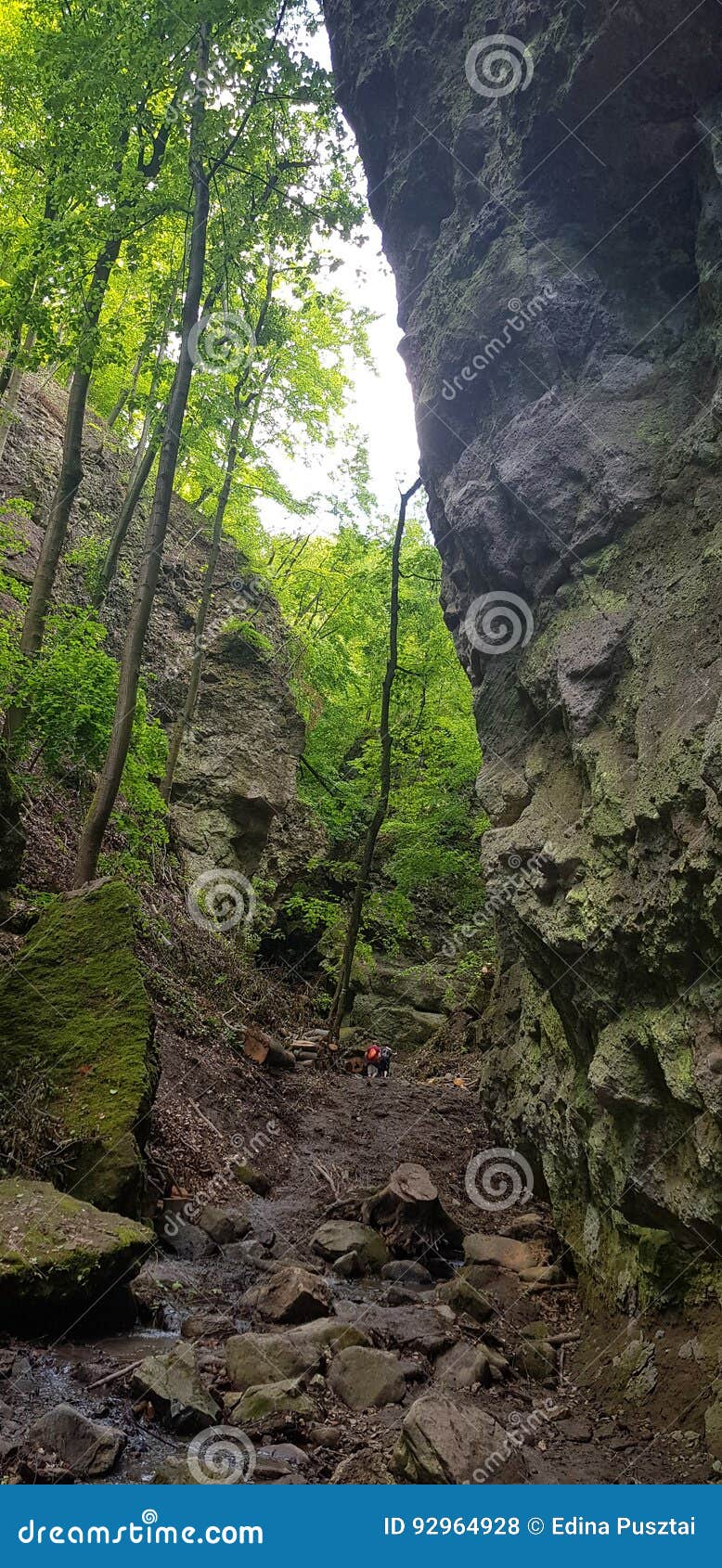 Rock in the way stock photo. Image of inthe, middle, rocky - 92964928