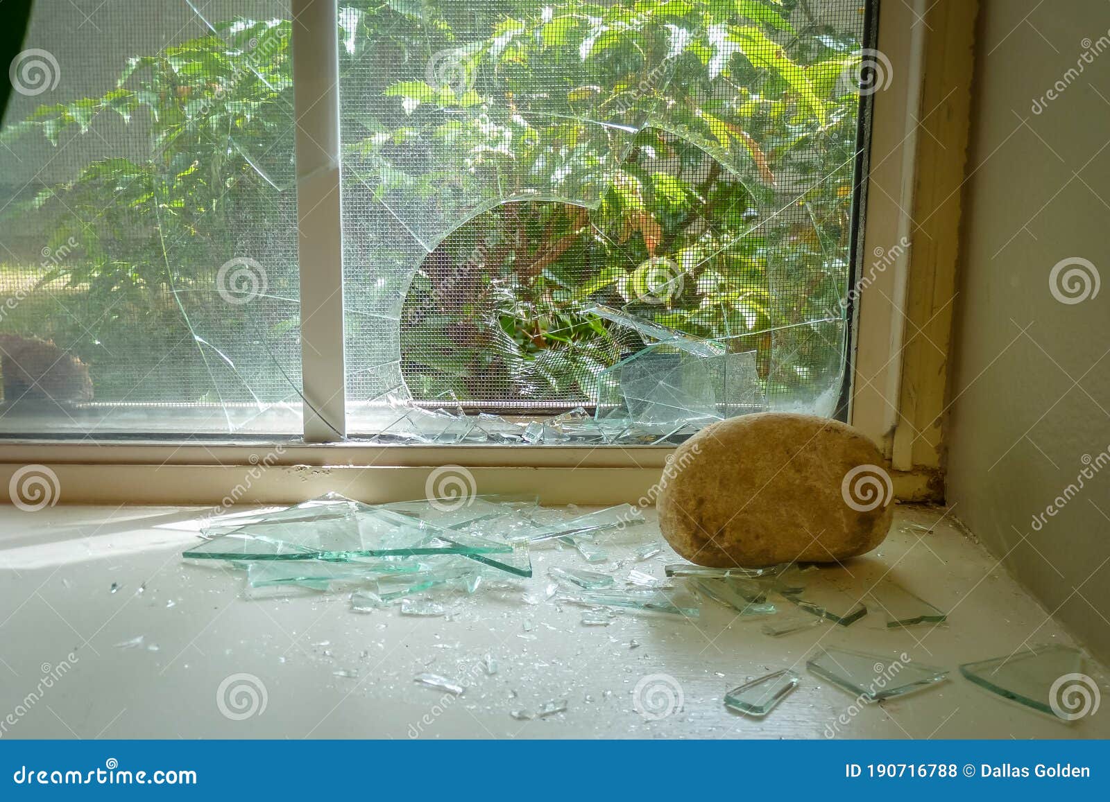 Rock Thrown through Glass Window Stock Photo - Image of plant, isolated ...