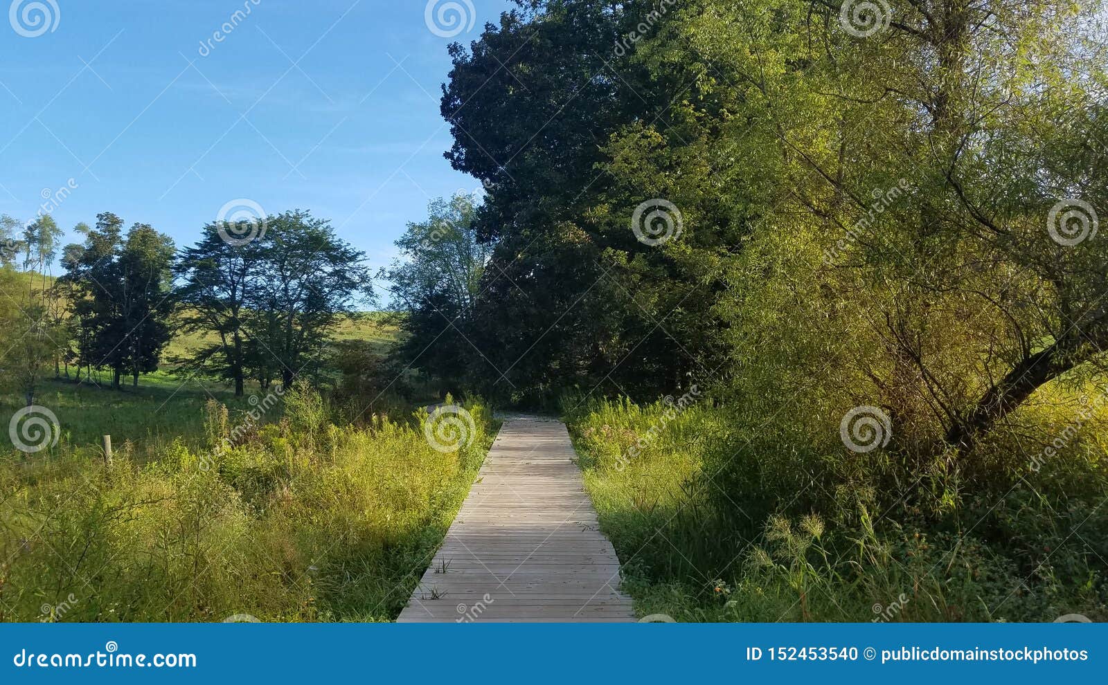 Rockbridge State Nature Preserve Picture. Image: 152453540