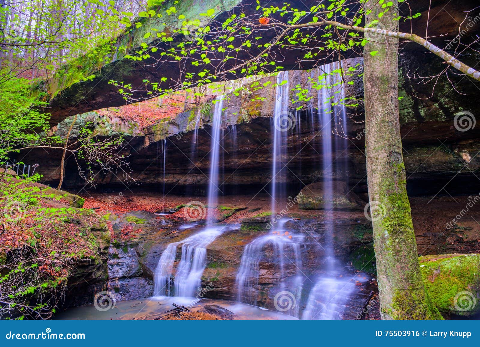 Rockbridge State Nature Preserve Stock Photo - Image of hills, preserve ...