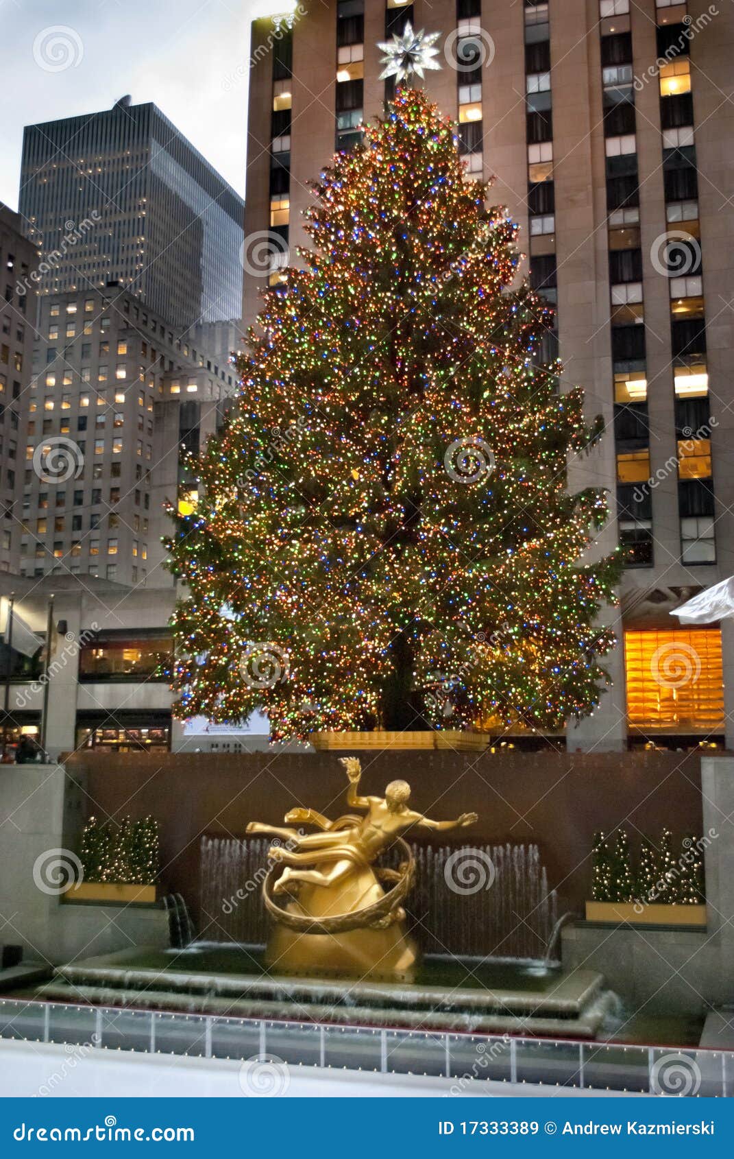 Rockefeller Center Tree editorial stock image. Image of rink - 17333389
