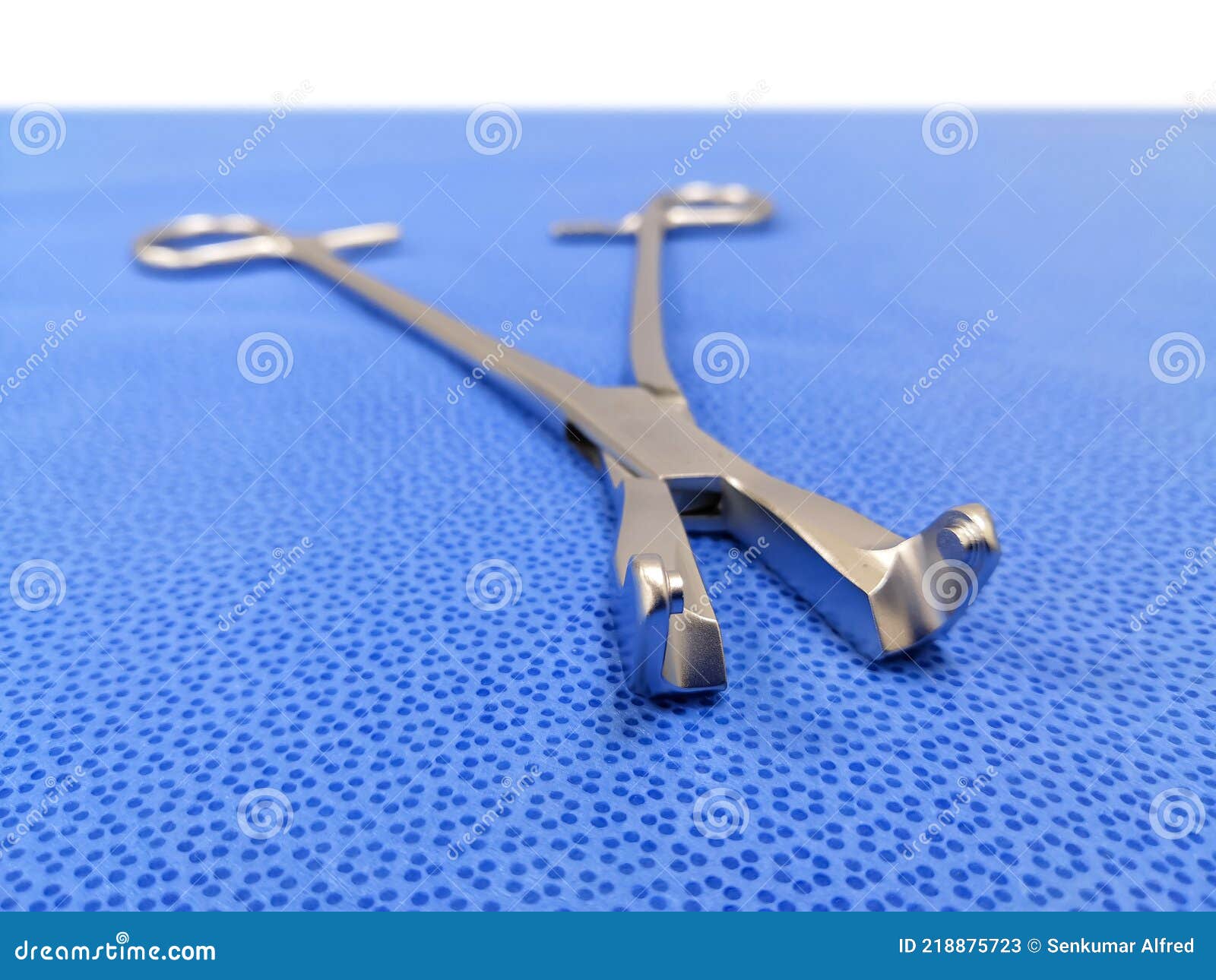 Orthopaedical Surgical Instrument Double Action Bone Nibbler Stock ...