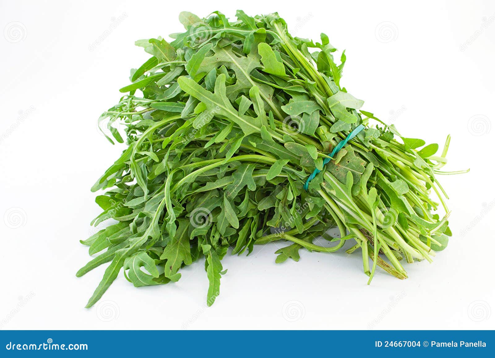 Rocket stock photo. Image of fresh, rocket, parmesan - 24667004