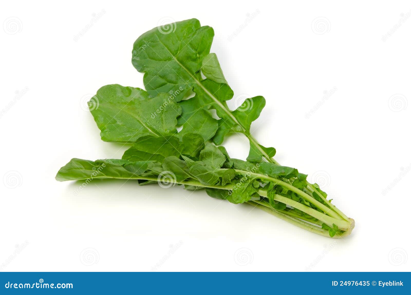 Rocket stock image. Image of vegetable, fresh, rocket - 24976435