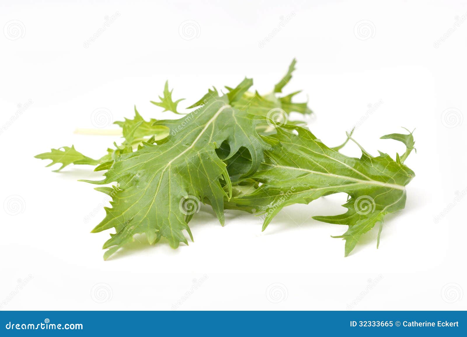 Rocket stock image. Image of ingredient, healthy, isolated - 32333665