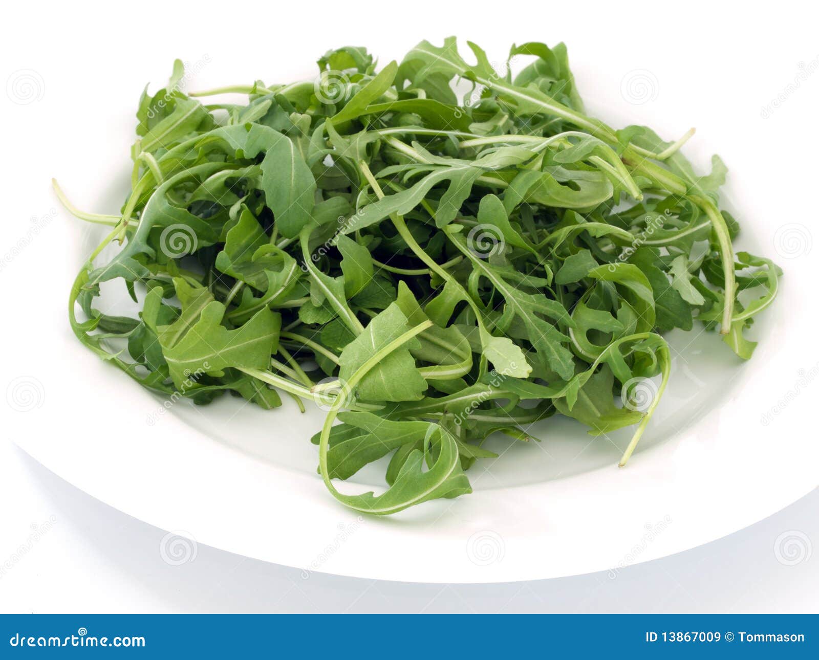 Rocket Leaves Royalty Free Stock Images - Image: 13867009