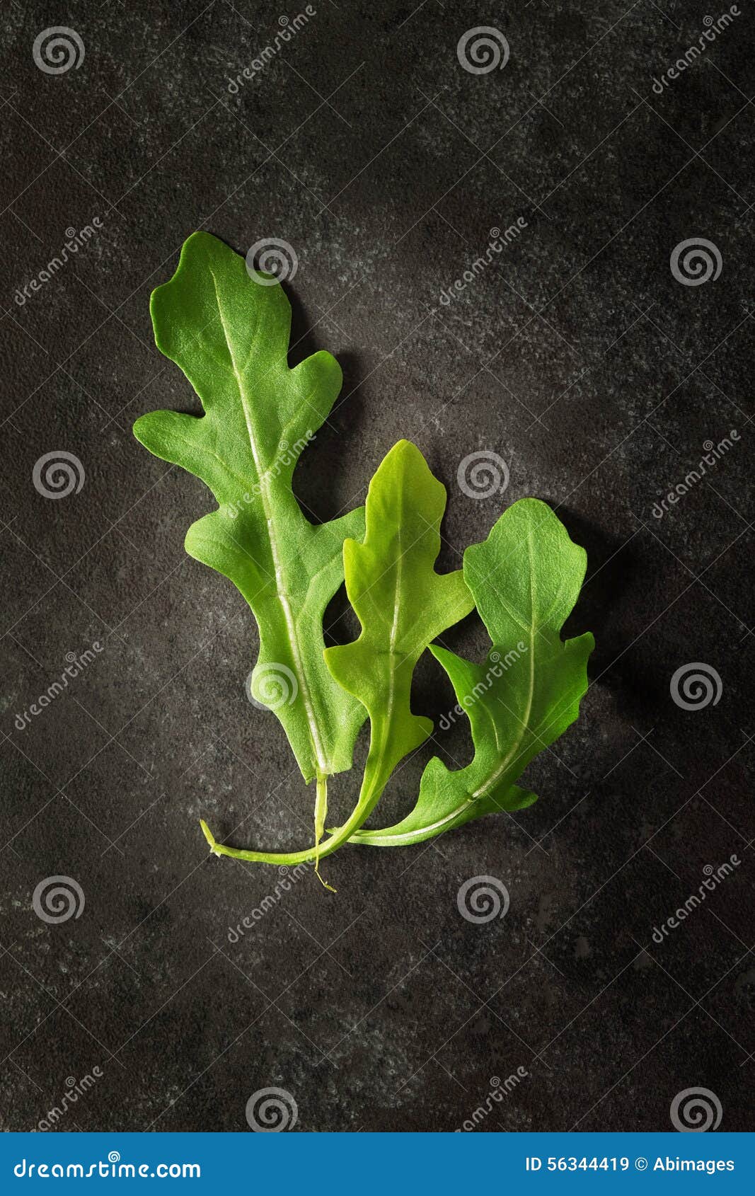Rocket leaves stock image. Image of salad, food, rocket - 56344419