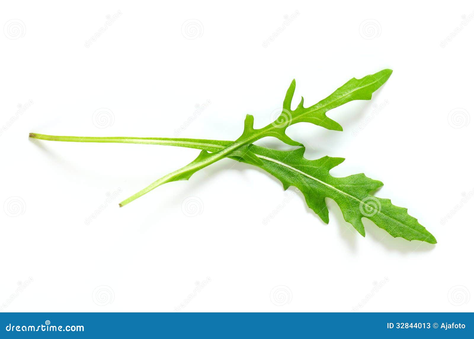 Rocket leaves stock image. Image of leaves, healthy, salad - 32844013