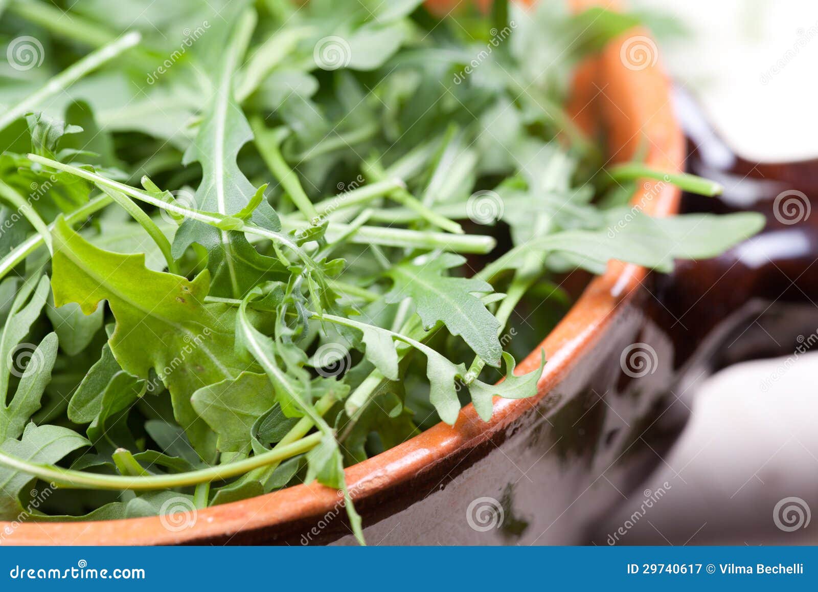 Rocket salad stock image. Image of salad, vegetable, food - 29740617