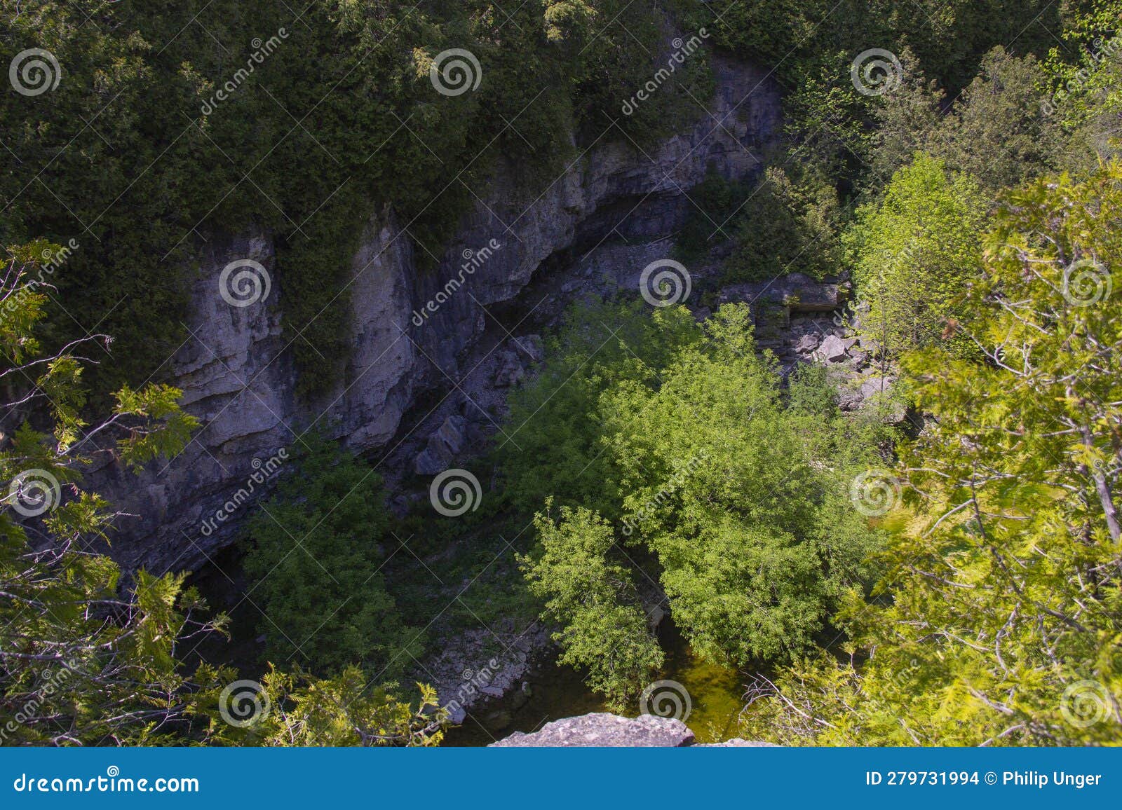 Rockface of the Elora Gorge Stock Photo - Image of flower, grass: 279731994