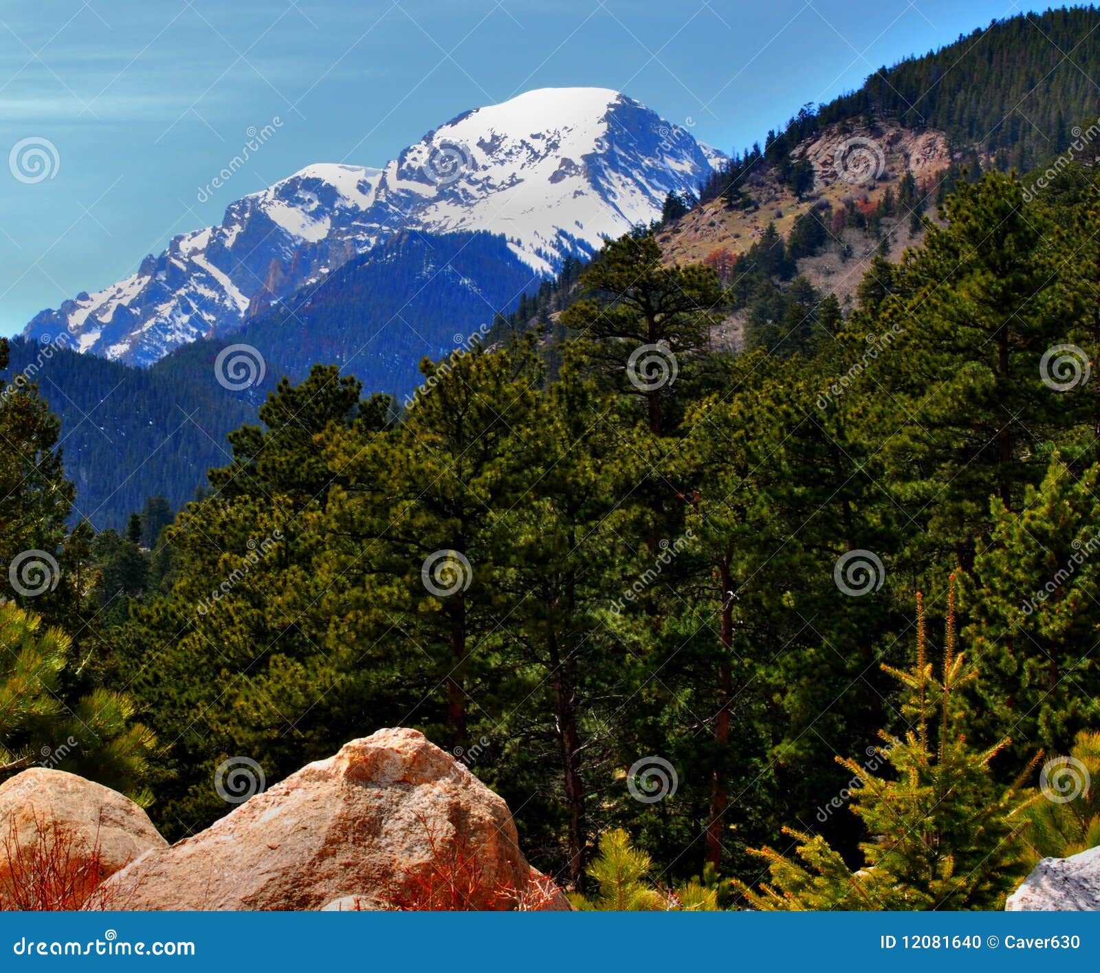 Rockies in the Springtime stock photo. Image of park - 12081640