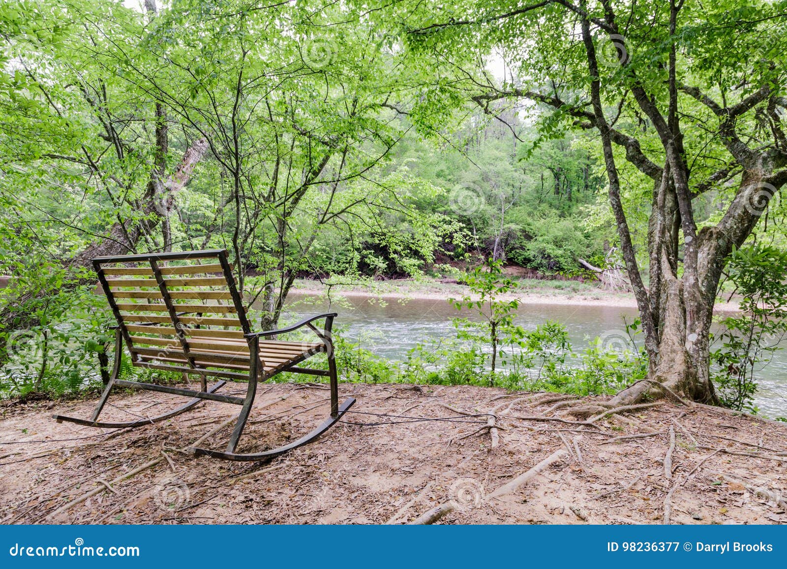 Rocking Bench on River Side Stock Image - Image of river, seat: 98236377