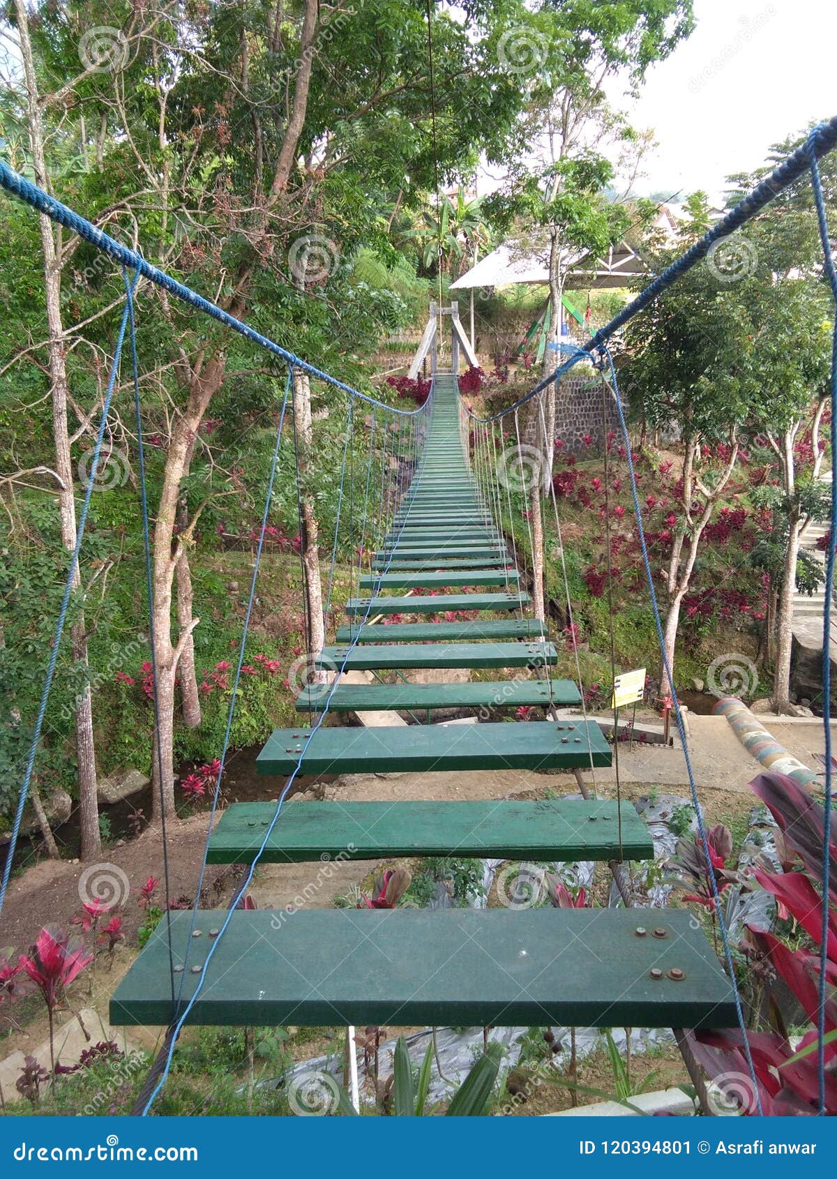 A Rocking Bridge Over the Park Stock Image - Image of rope, unique ...