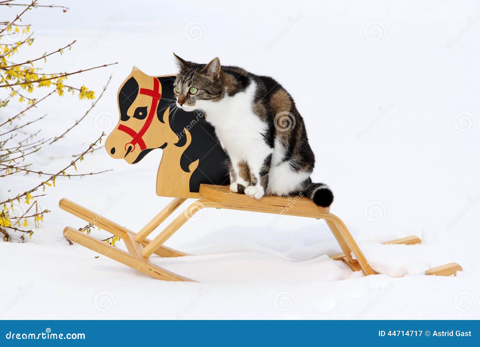 On the rocking horse stock image. Image of fitness, active - 44714717 On the rocking horse stock image. Image of fitness, active - 44714717