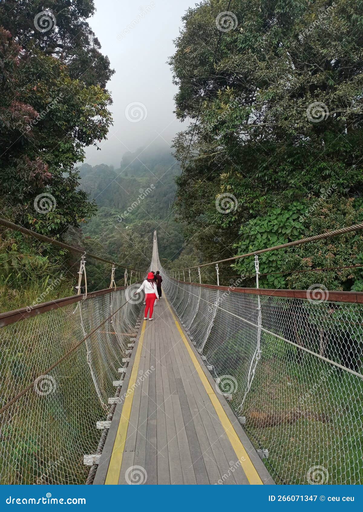 Rocking walk stock image. Image of longest, mountain - 266071347
