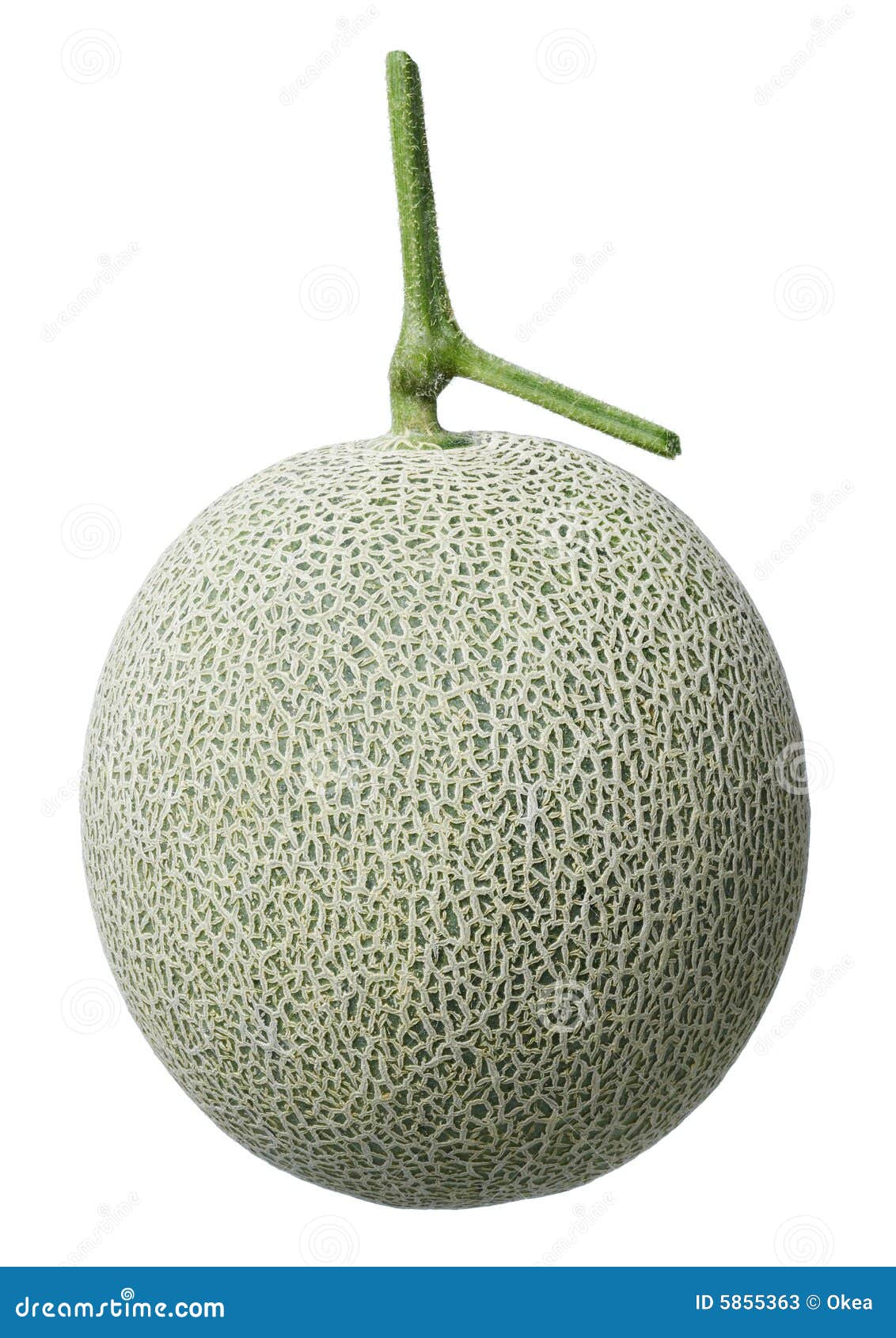 Rockmelon imagen de archivo. Imagen de aislado, fruta - 5855363